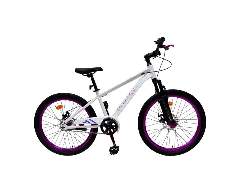 BICICLETA PROFIT NICE RIN 20 – Elite Bike